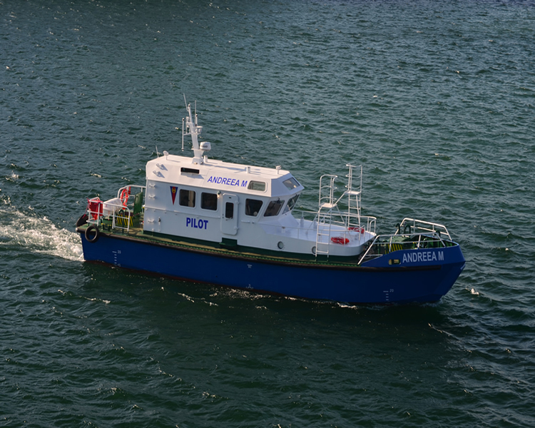 Professional Boats | Electroscoica Mar